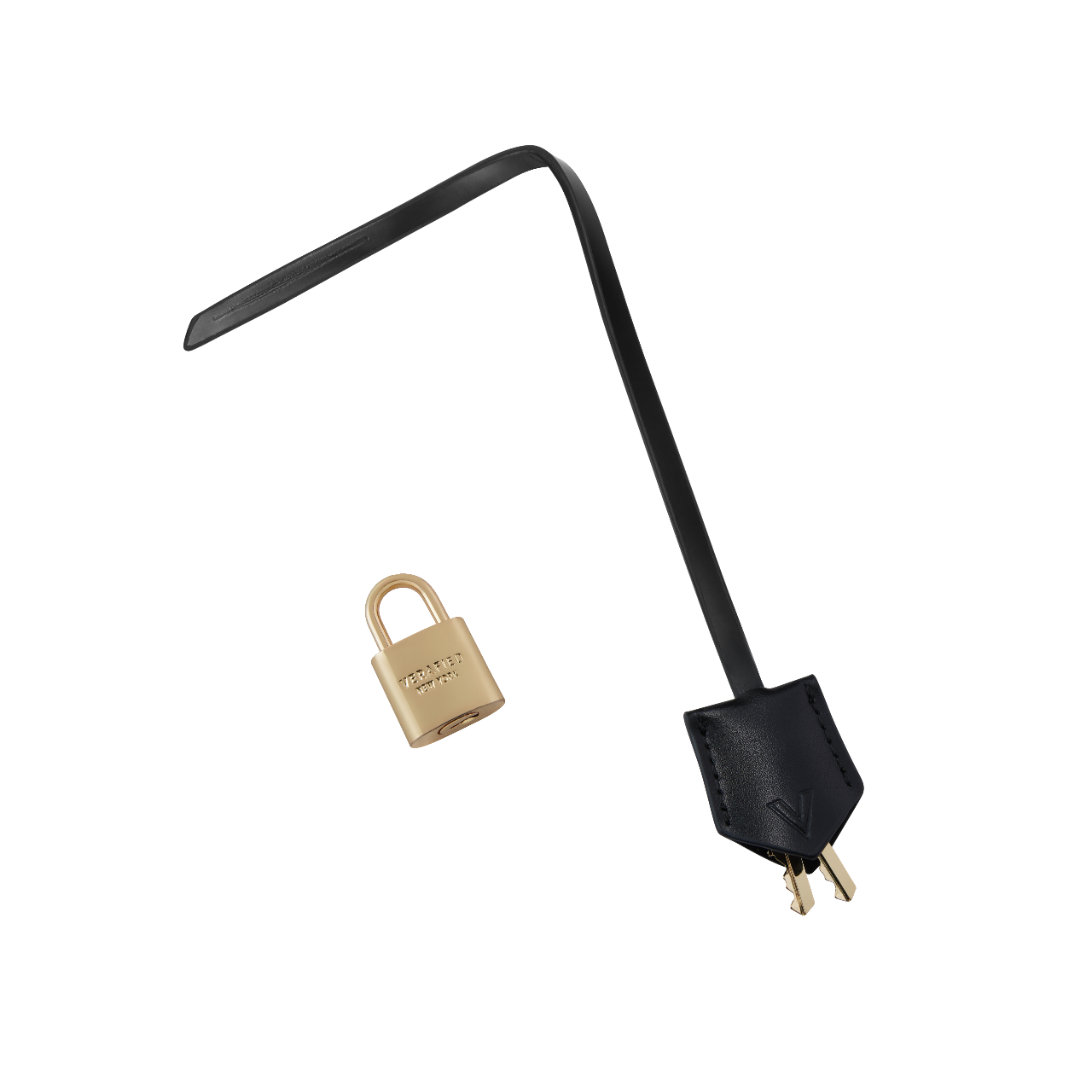 Gold VERAFIED Lock Set - Verafied New York