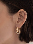 Mini Knot Earrings 14K Gold - Verafied New York